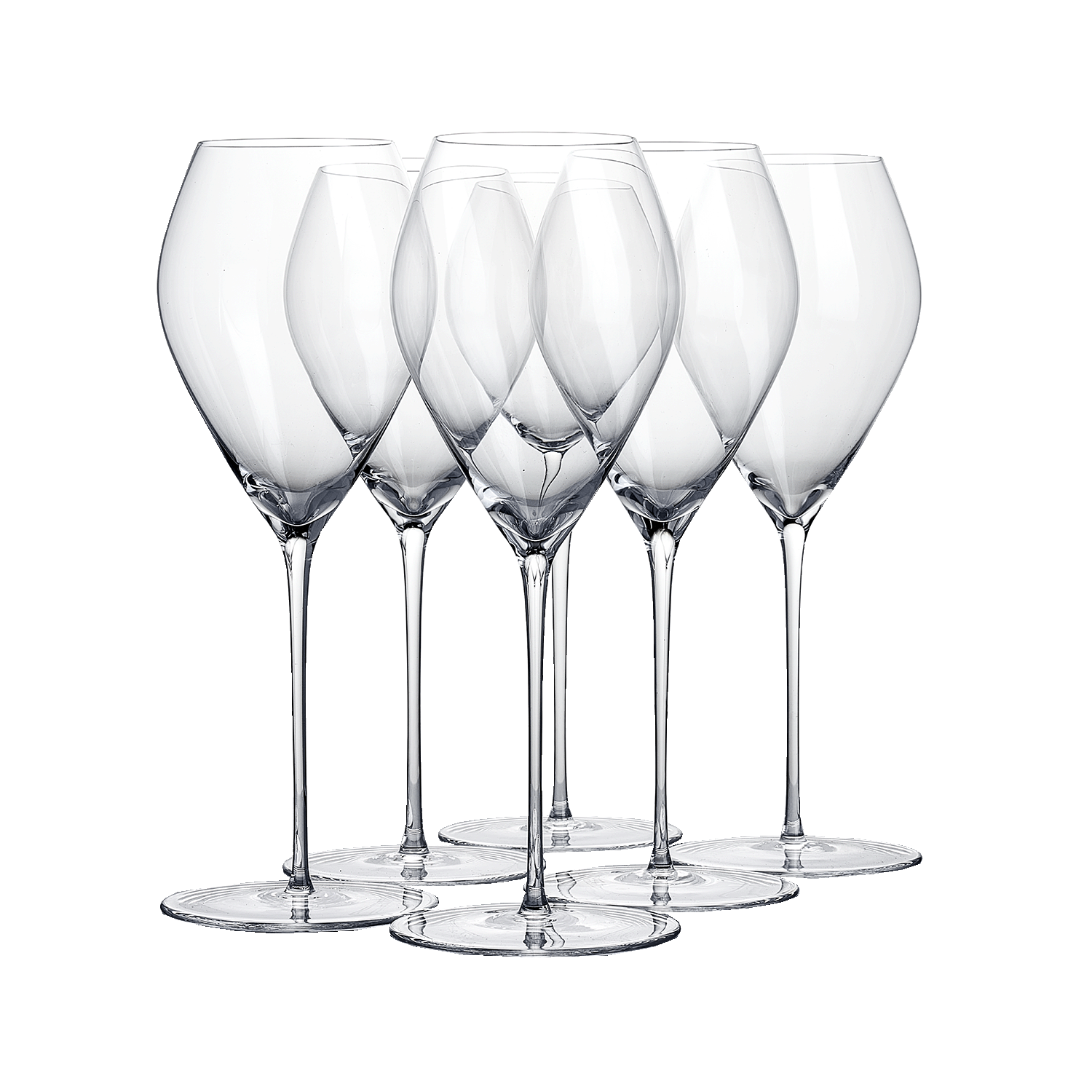 Grassl Champagne Glassis Box of 6is Premium Sparkling Wine Glass Set